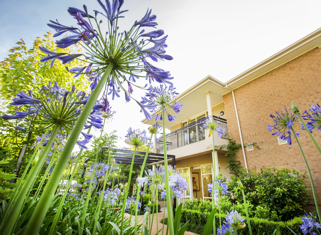 Gallery - Trinity Care